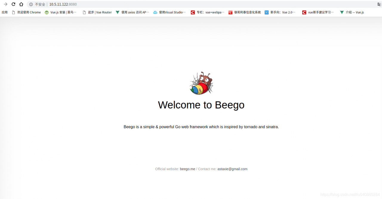 Docker笔记（四、docker部署beego打包后的二进制文件） 源码巴士