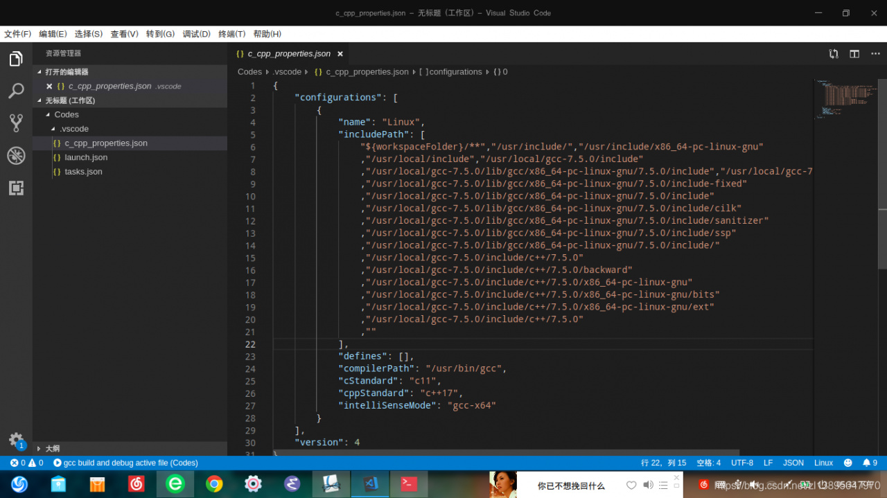 Microsoft Visual Studio Code includePath 