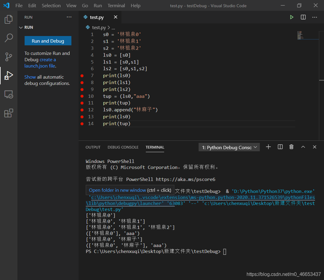 Vscode下调试python代码演示debugging以及单步前进step Into 源码巴士